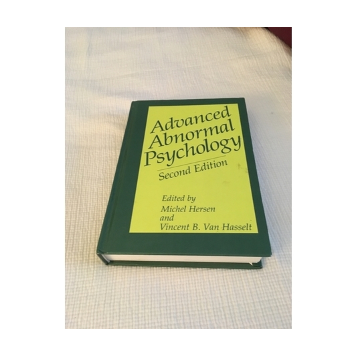 Advanced Abnormal Psychology A Text By M Hersen The Book Chateau
